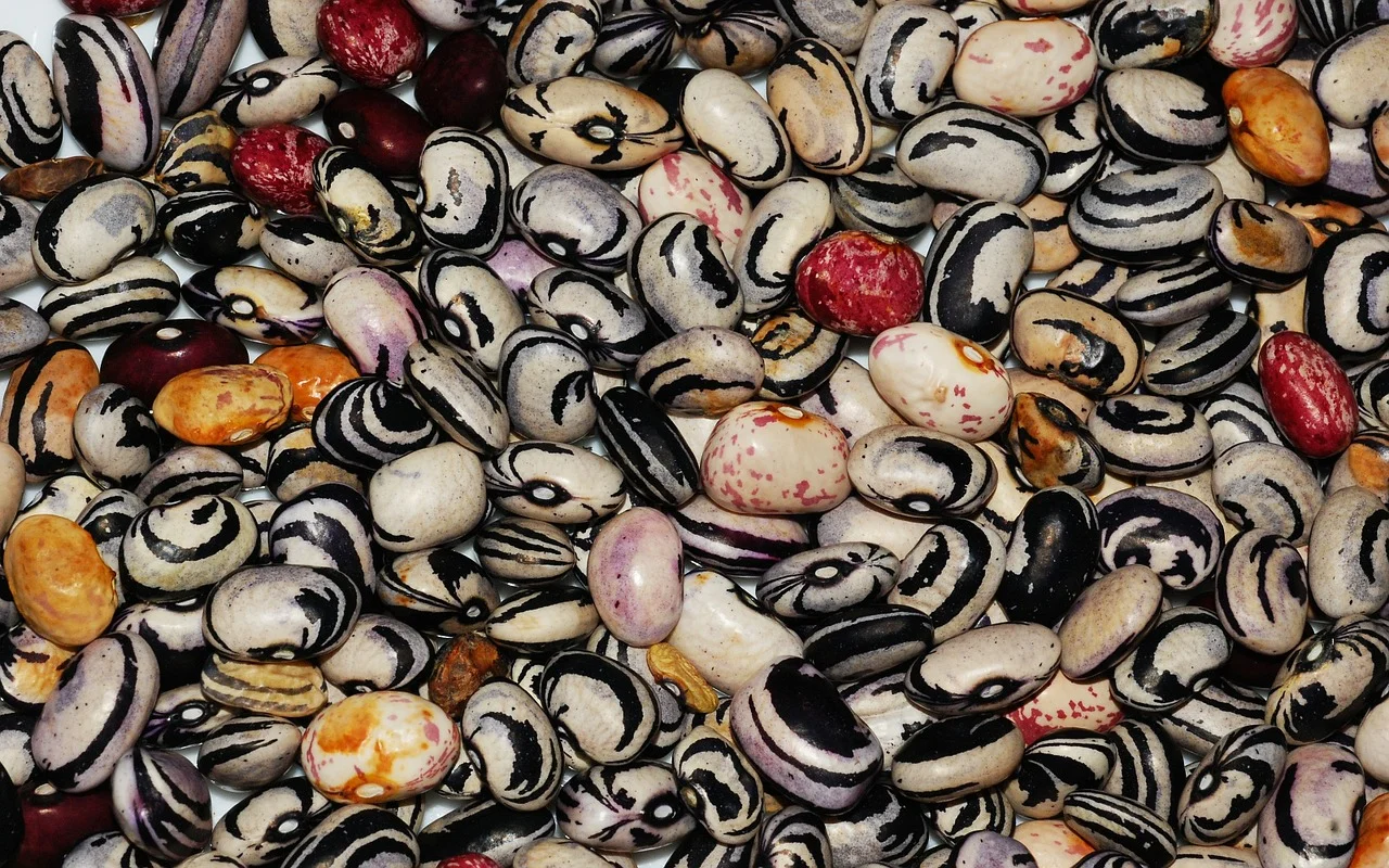 Dried Legumes Cooking and Handling — The Culinary Pro