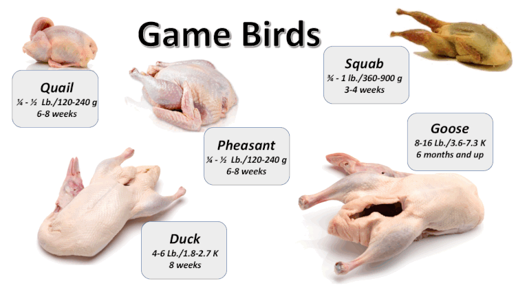 About Poultry - Farm-to-Table — The Culinary Pro