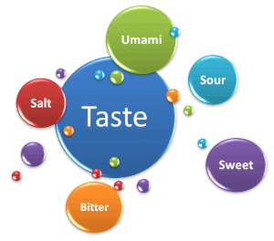 Principles of Sauce Making — The Culinary Pro