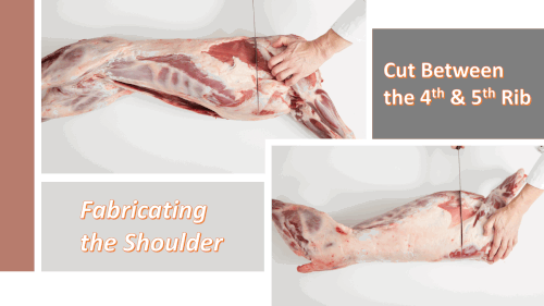 Lamb Carcass Fabrication — The Culinary Pro