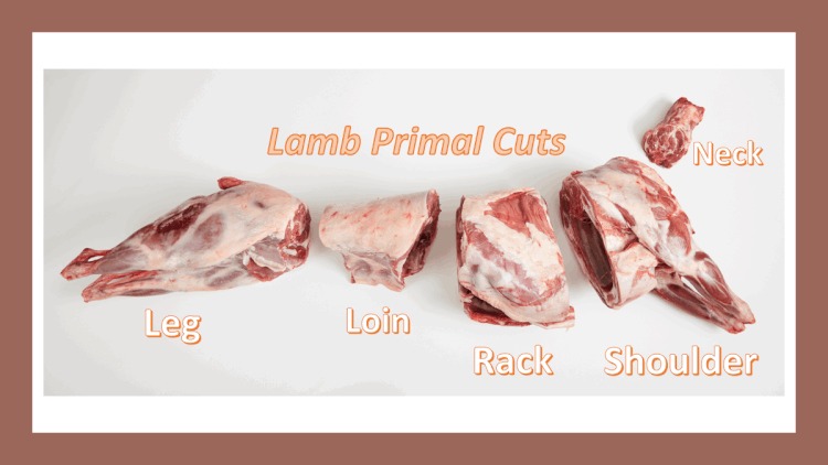 Lamb Carcass Fabrication — The Culinary Pro