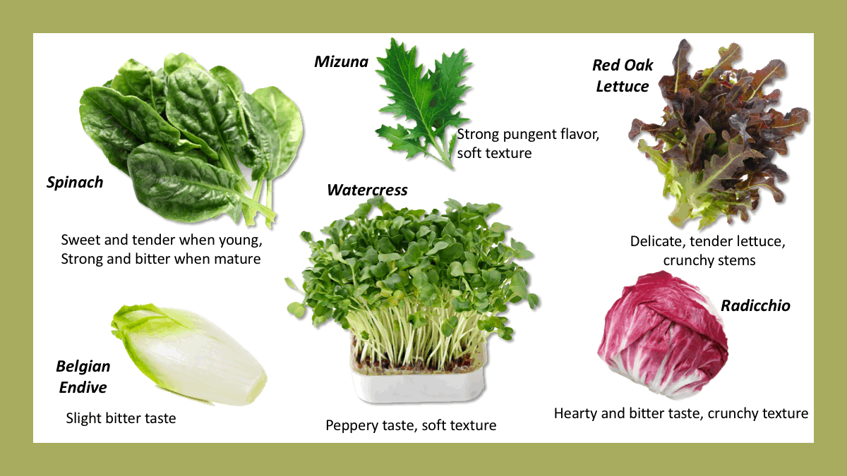 Salads and Garnishes — The Culinary Pro