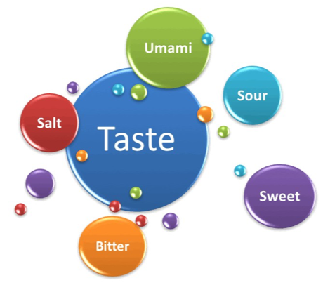 Understanding Flavor Profiles — The Culinary Pro