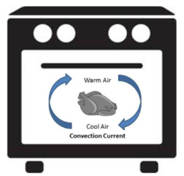 Roasting and Baking Proteins — The Culinary Pro