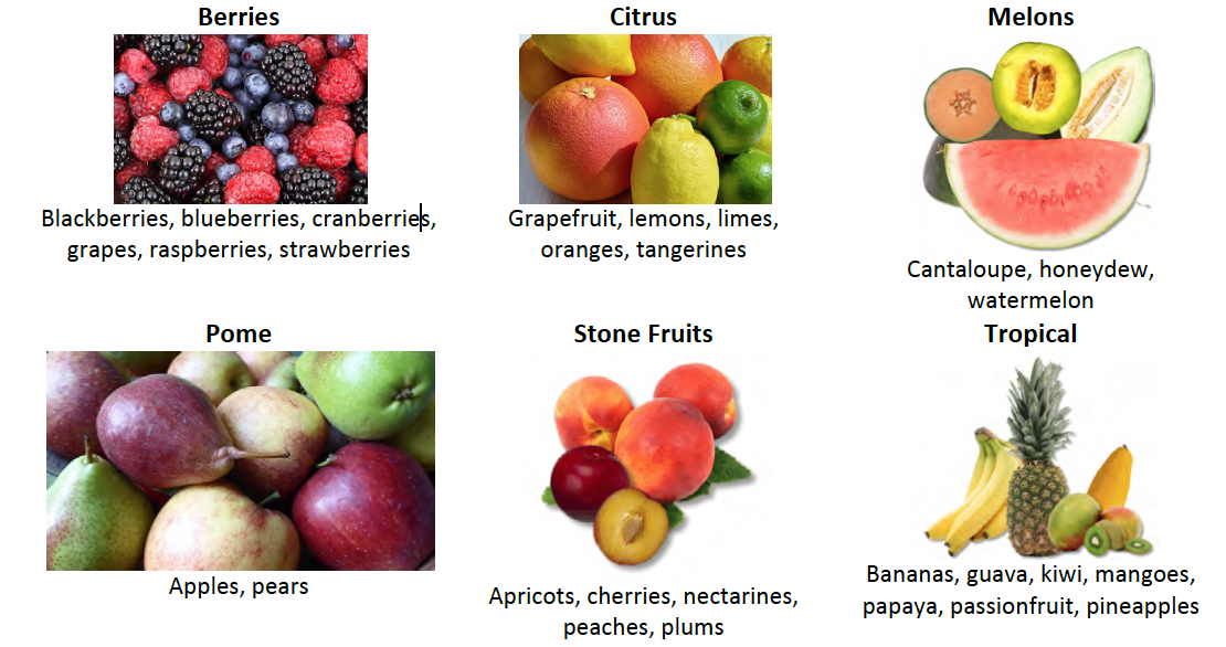 About Fruits — The Culinary Pro