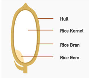 Rice Varieties — The Culinary Pro