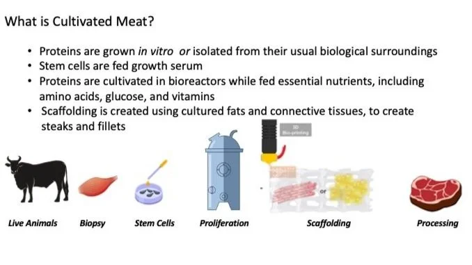 About Cultivated Meat — The Culinary Pro
