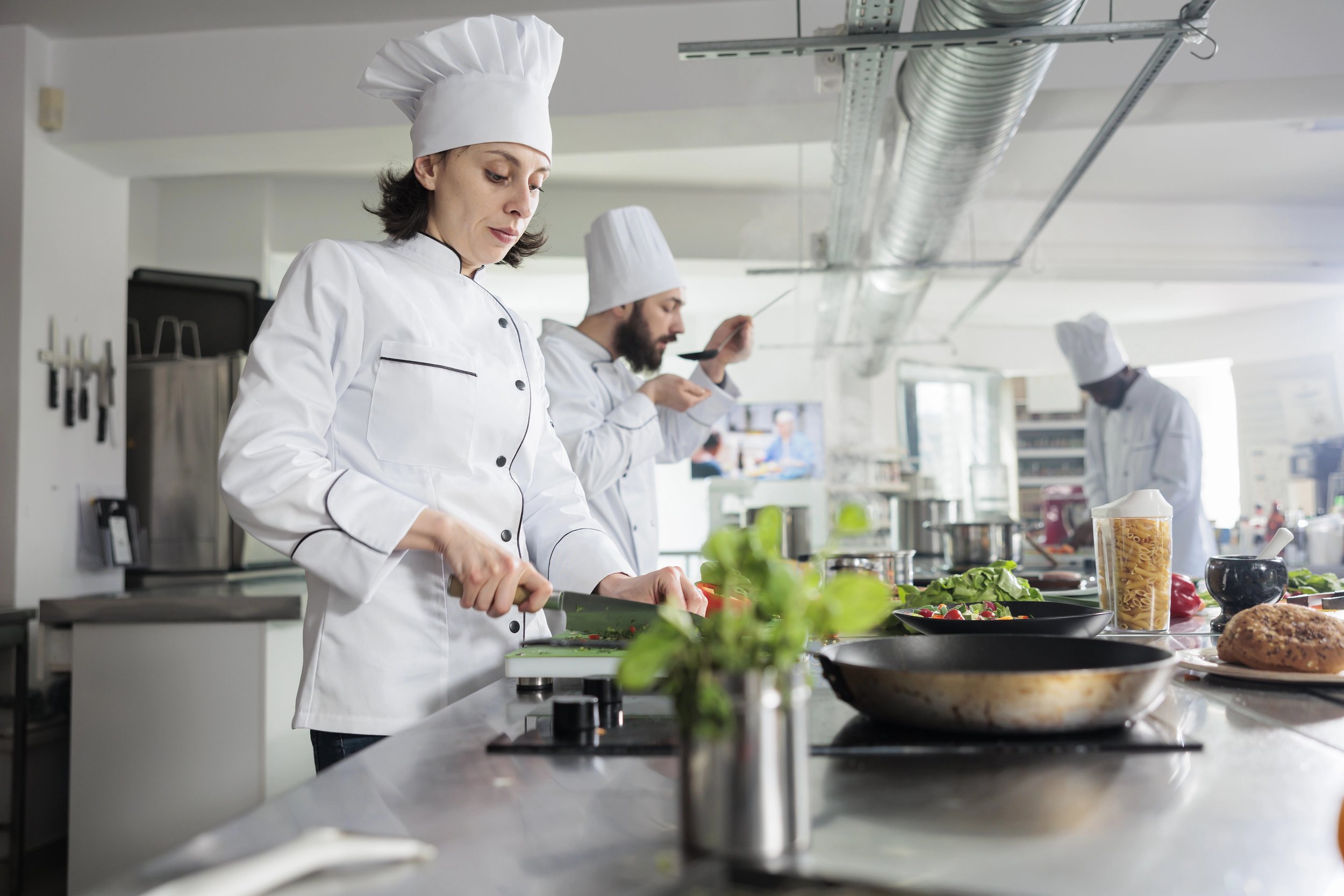 The Culinary Pro