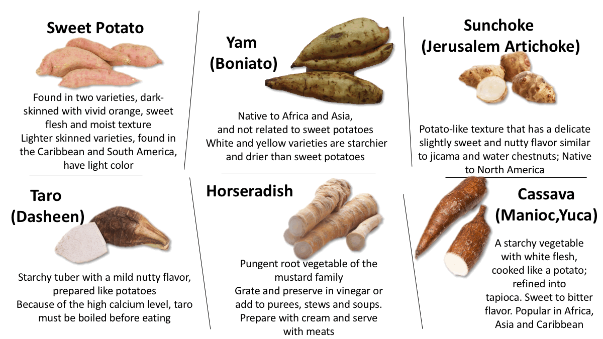 Root & Tuber Vegetables — The Culinary Pro