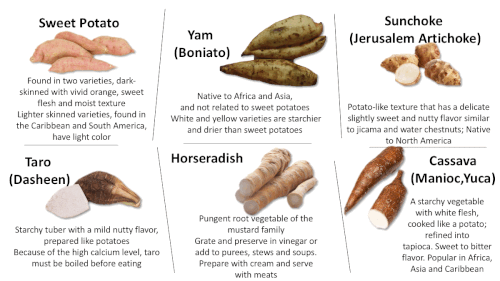 Root & Tuber Vegetables — The Culinary Pro