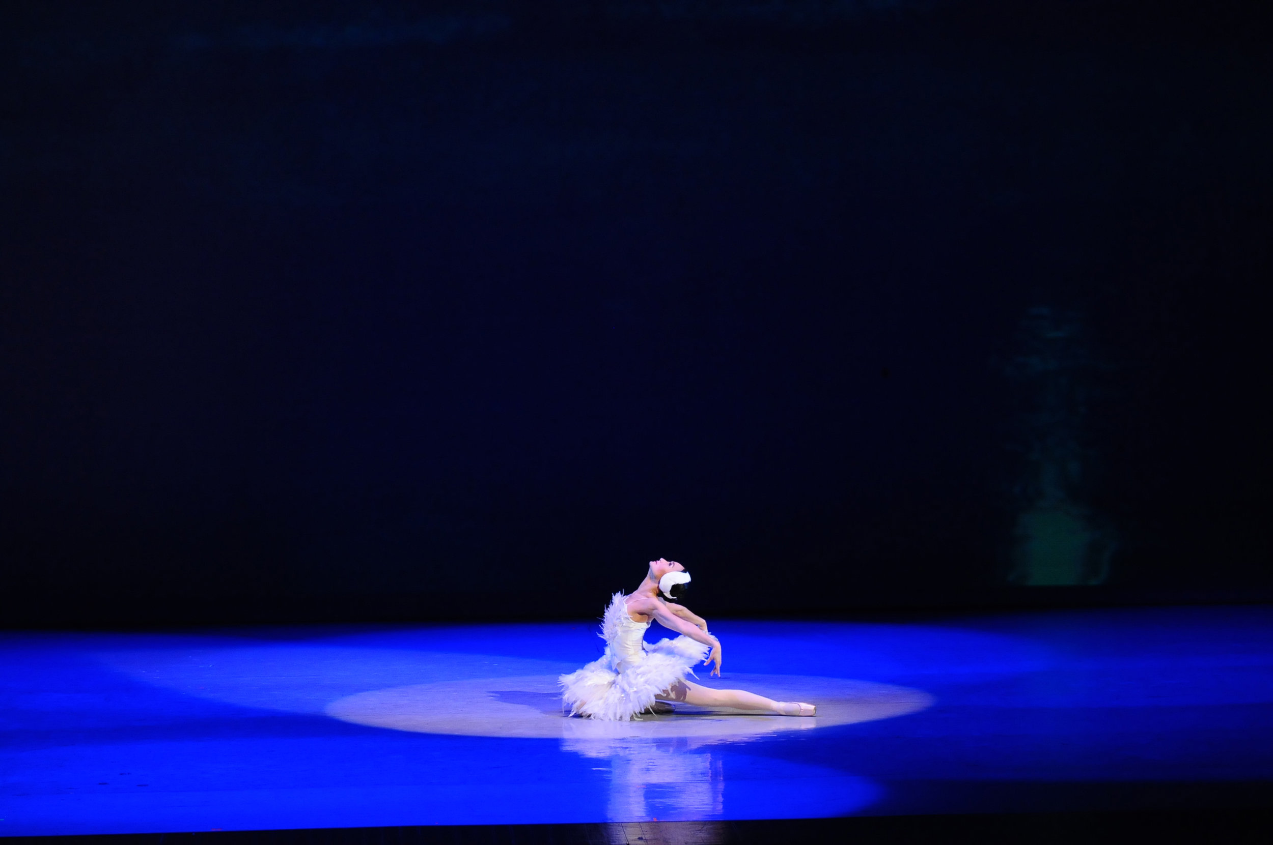 Winged ballets: The Dying Swan — Ballet Manila Archives