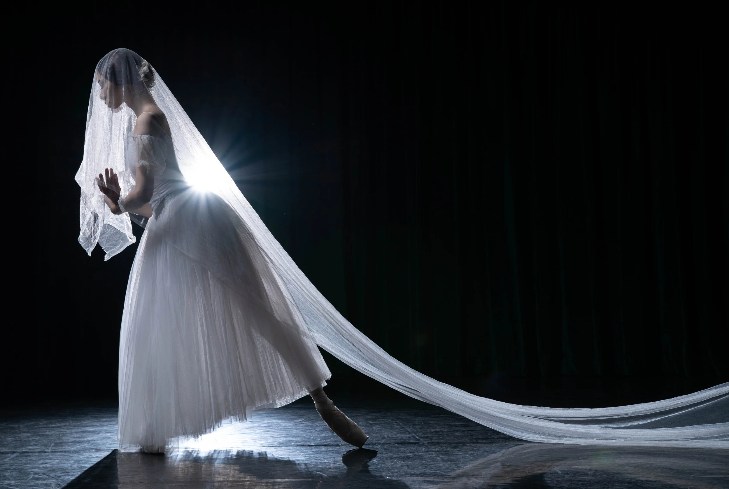 Ballet Dictionary: Romantic Tutu — Ballet Manila Archives