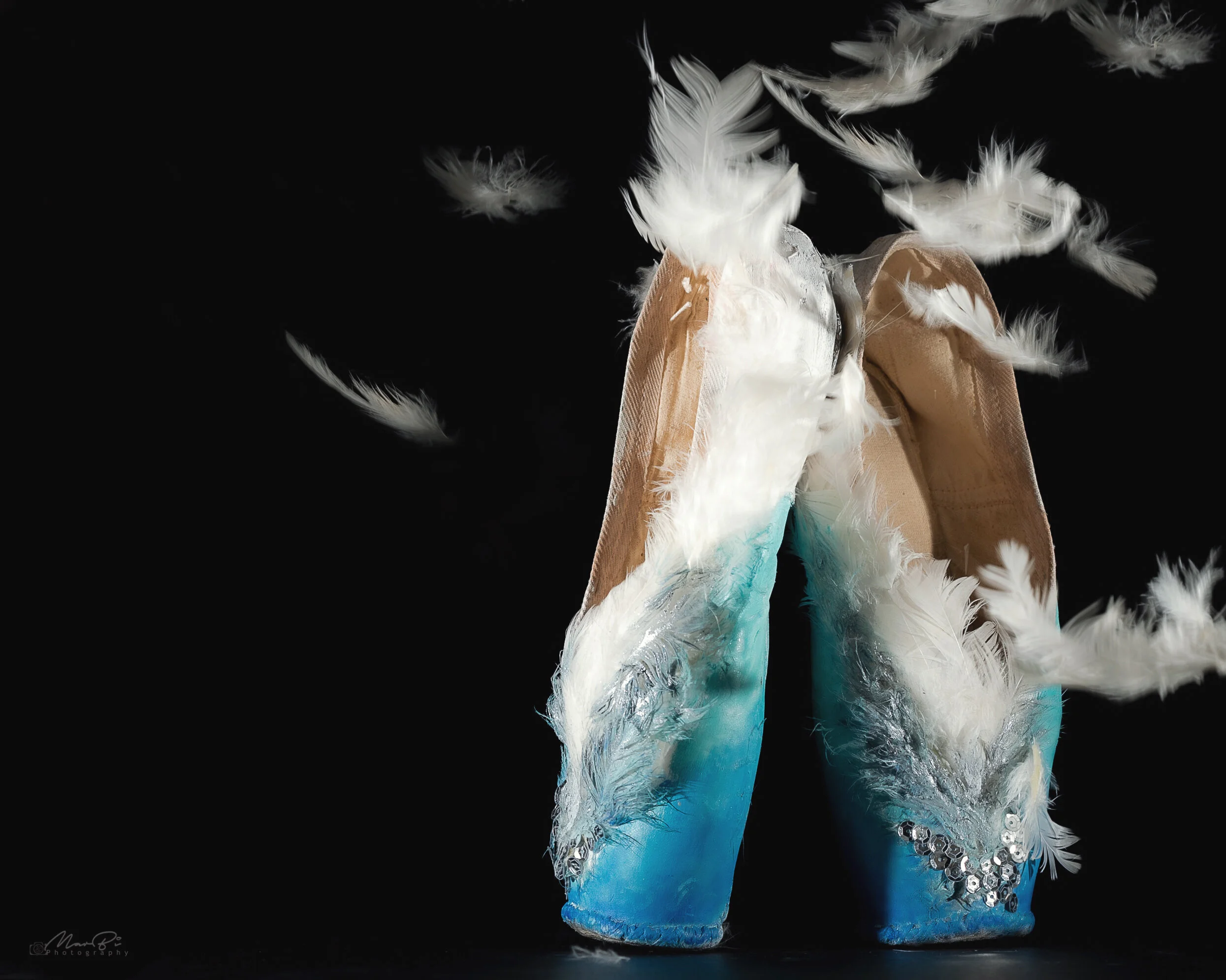 Embellished Pointe Shoes