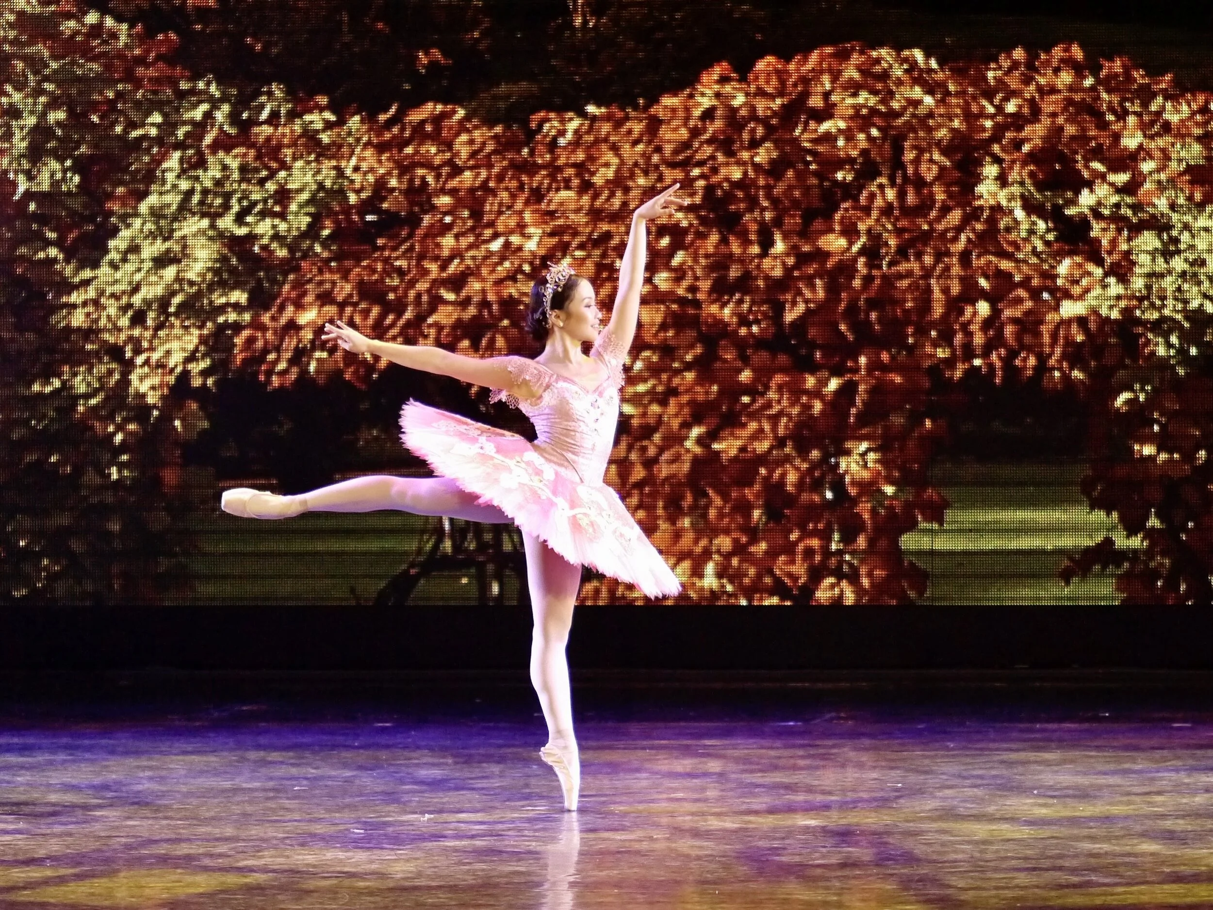 Ballerinas on ballet’s iconic female leads: Jasmine Pia Dames on ...