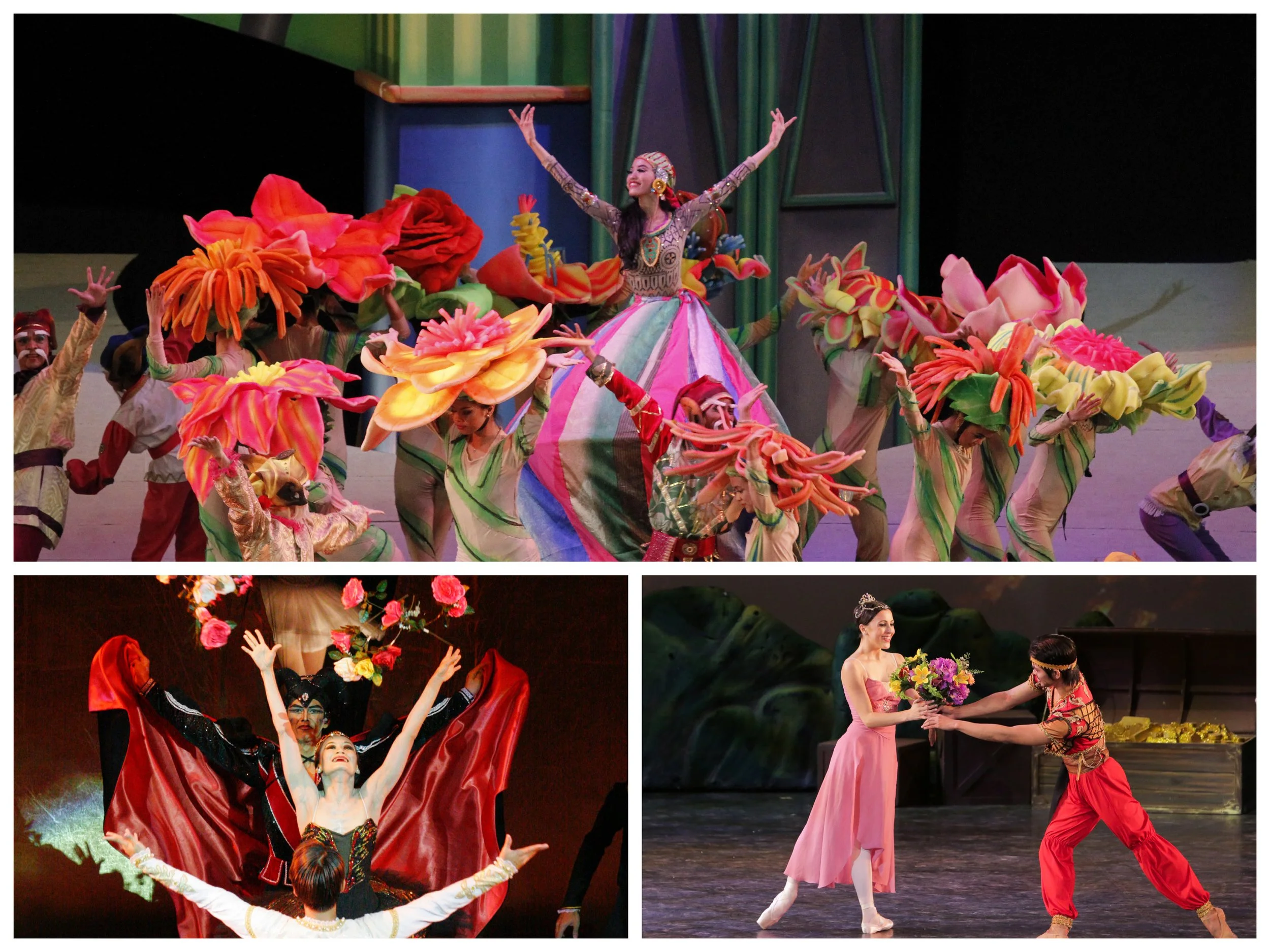 Flower Philippines Dance | Best Flower Site