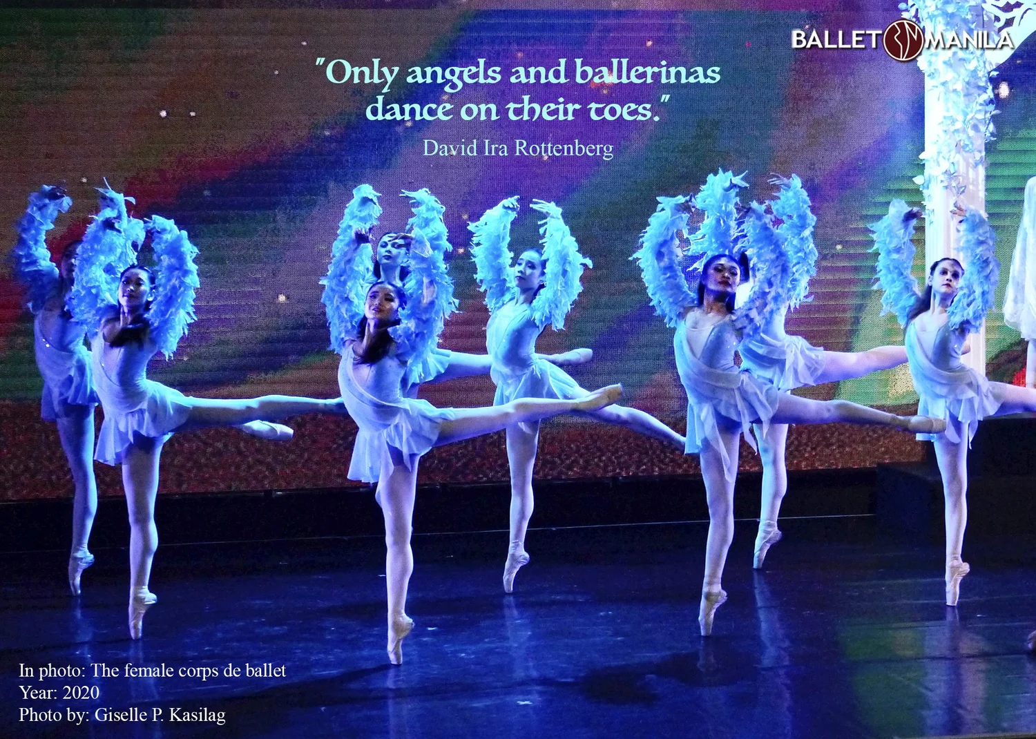 Talk about dance: David Ira Rottenberg — Ballet Manila Archives