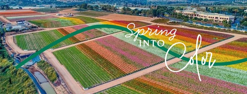 Photo Opportunities — BSP NEWS