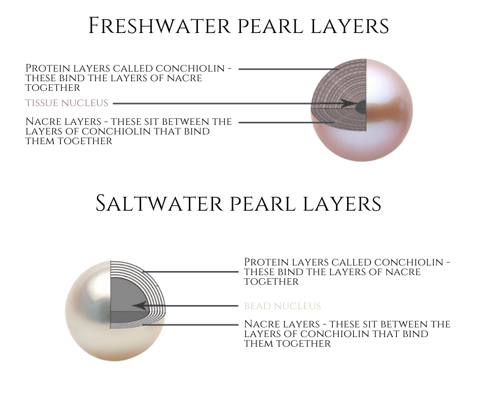 Interesting and Eye-Opening Facts About Freshwater and Saltwater Pearls ...