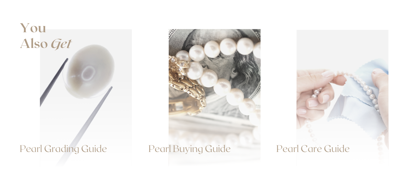Pearl History Guide — ANDREA LI