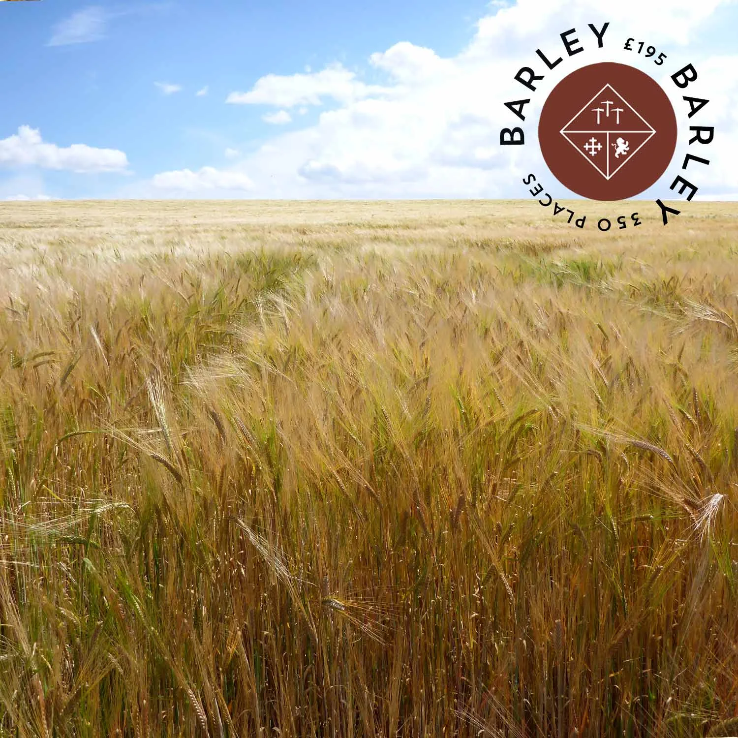 Distillery Shop — Cooper King Distillery®