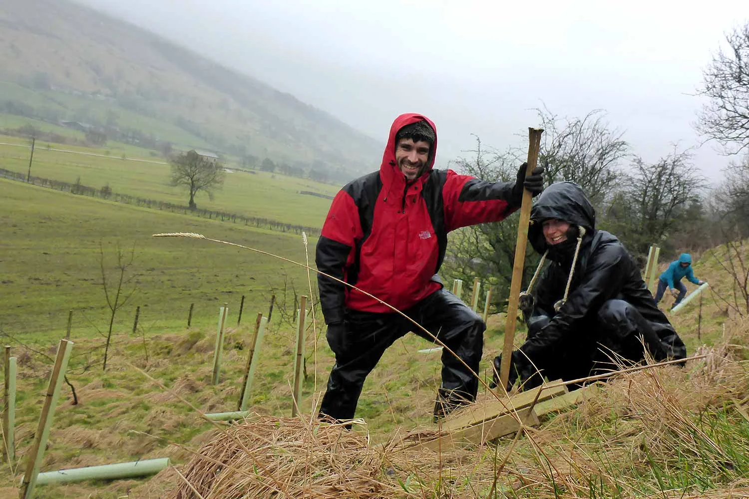 Tree Planting — Cooper King Distillery®