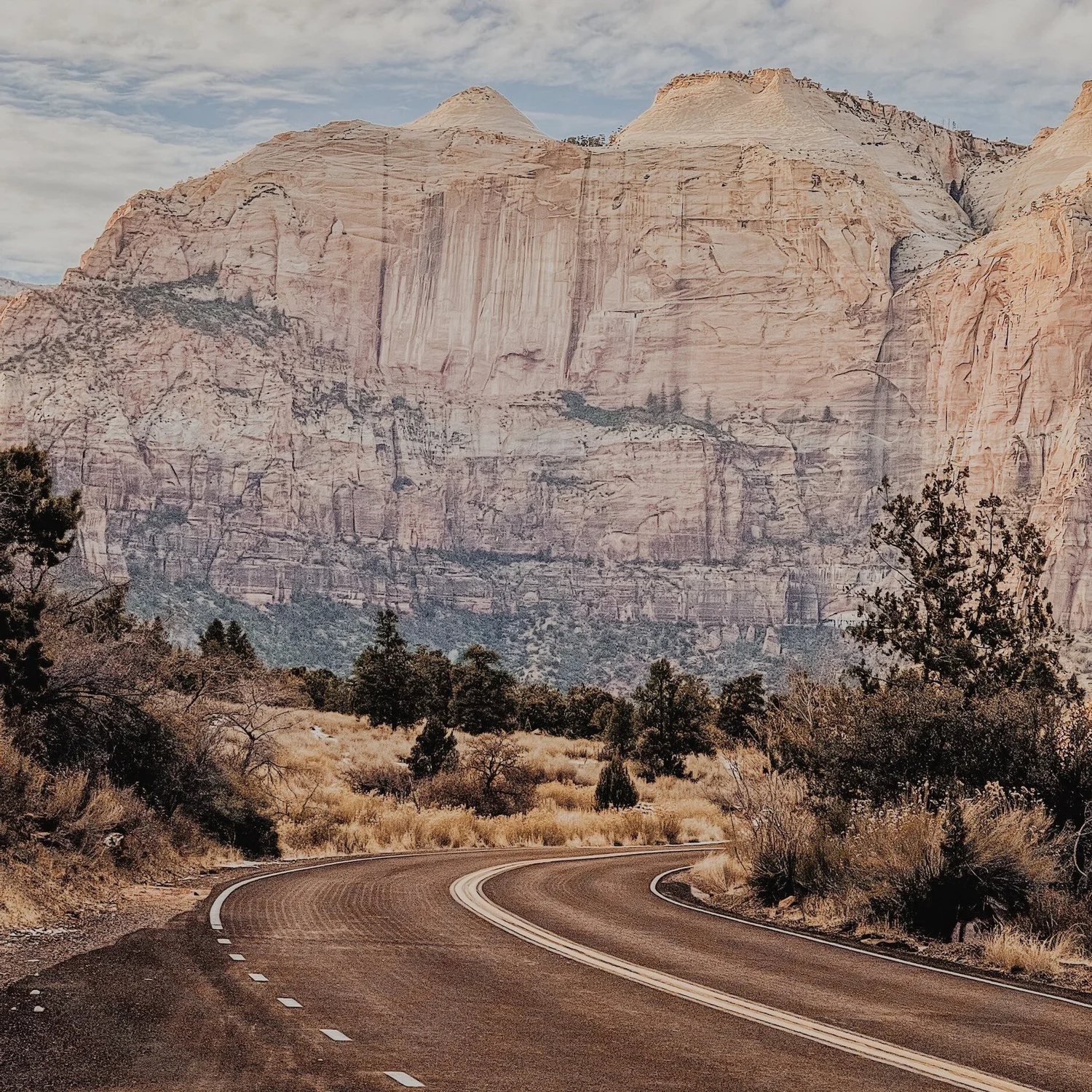 Pro Bono Free Therapy - Mental Health Therapy — Khesed Wellness