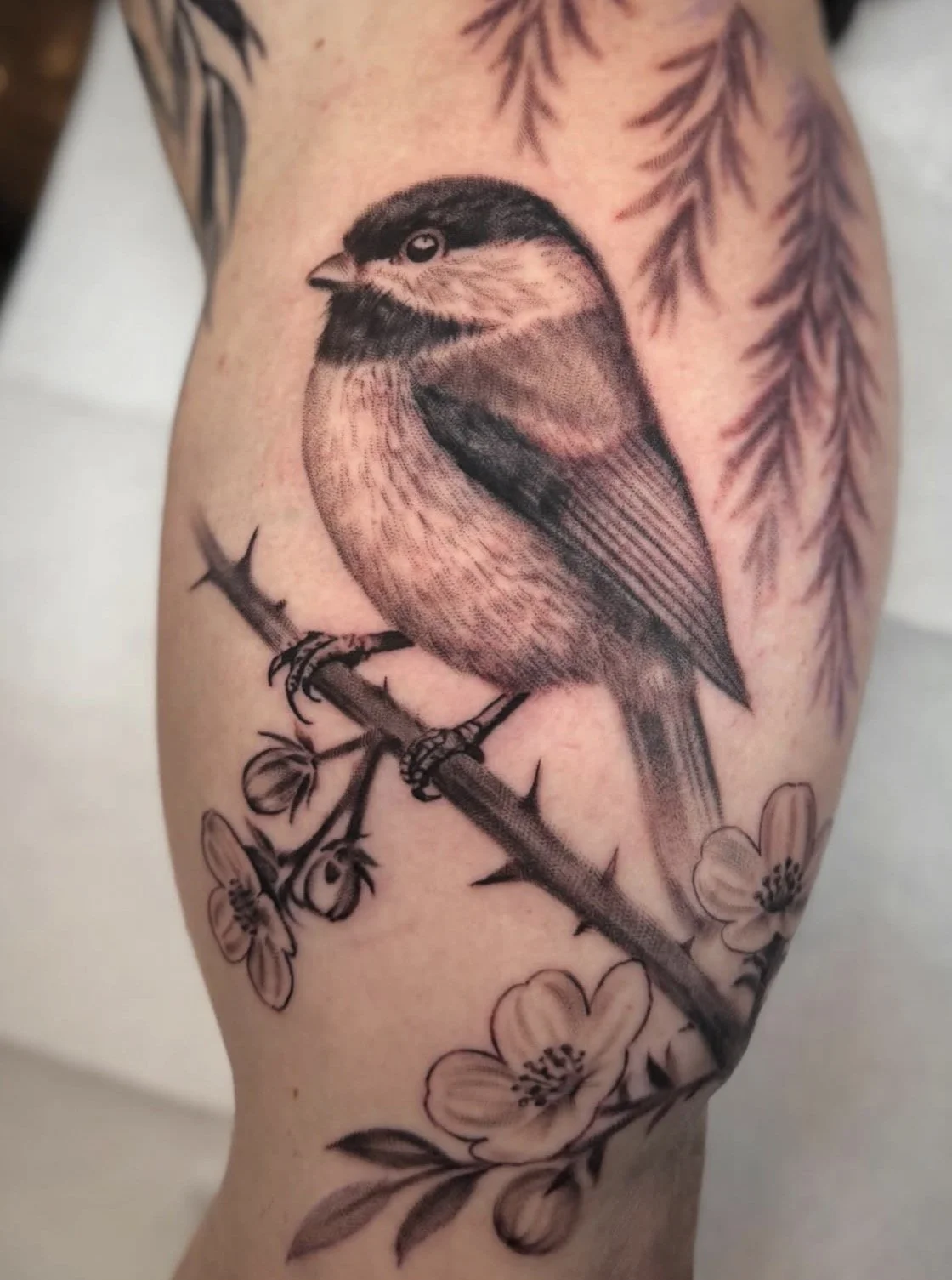 Cody Gurley Tattoo Artist Nashville TN | Safe House Tattoo — Nashville ...