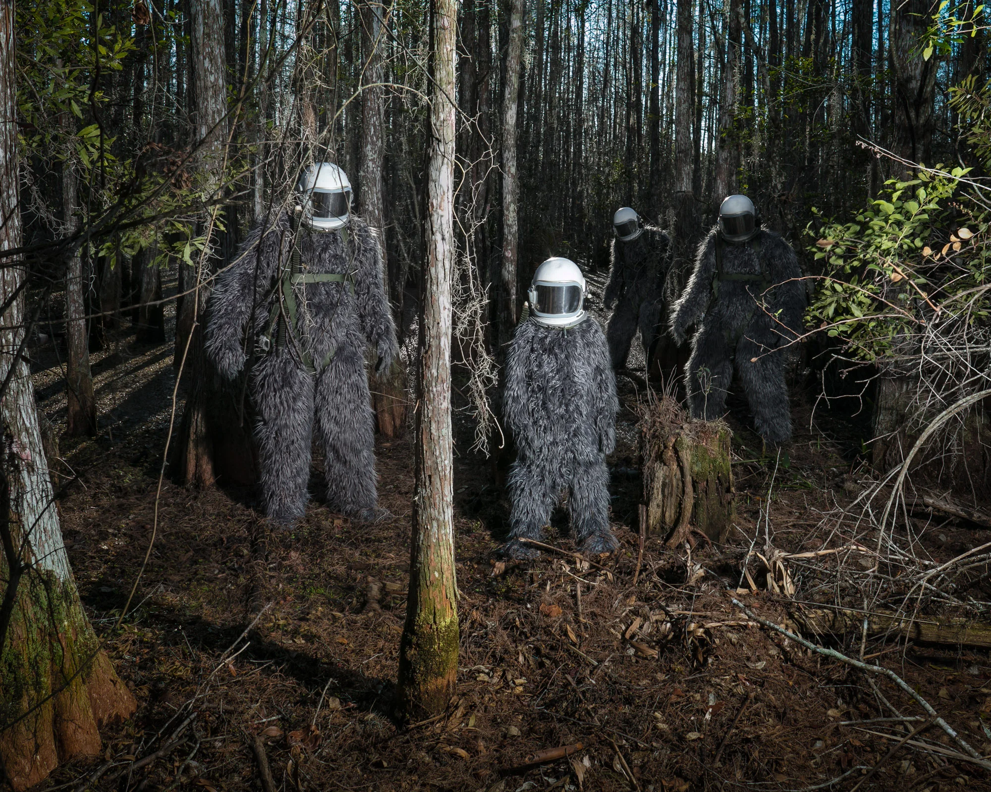 In search of SpaceSquatch