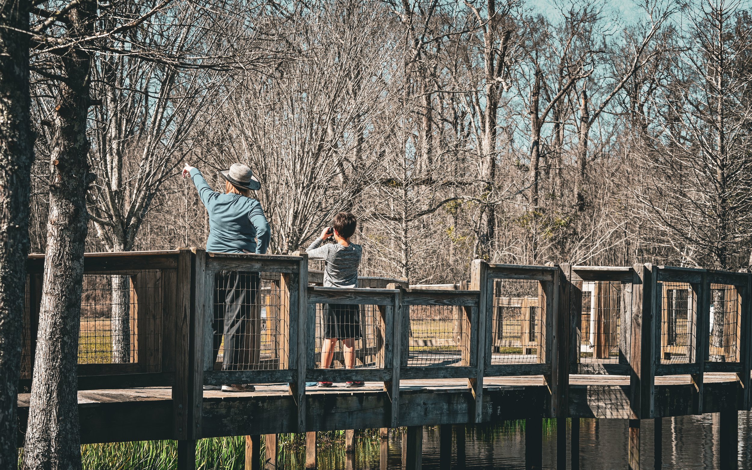 City Nature Challenge: BR Region