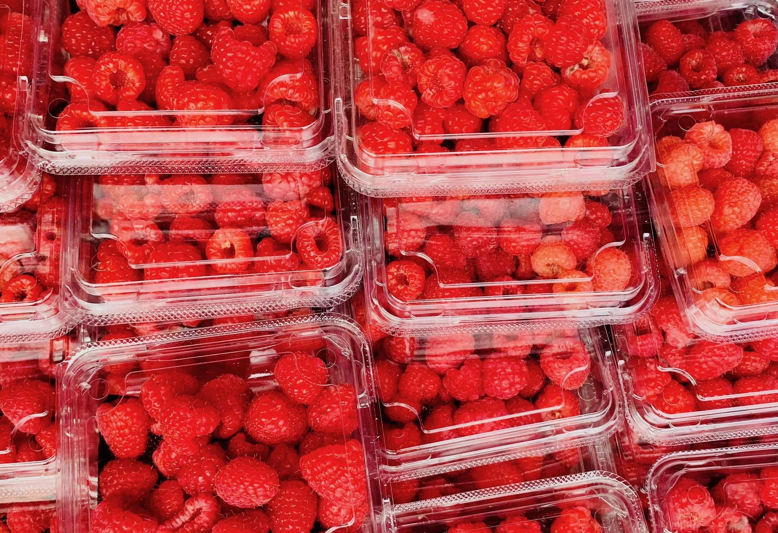 Mini Connections nanny agency