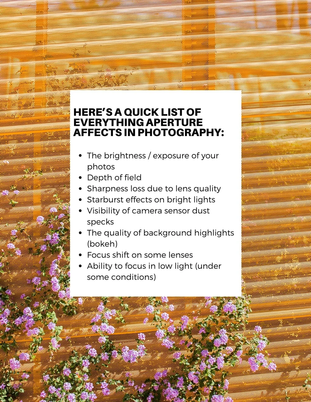 Aperture | Basic Photography