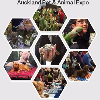 Pet & Animal Expo's