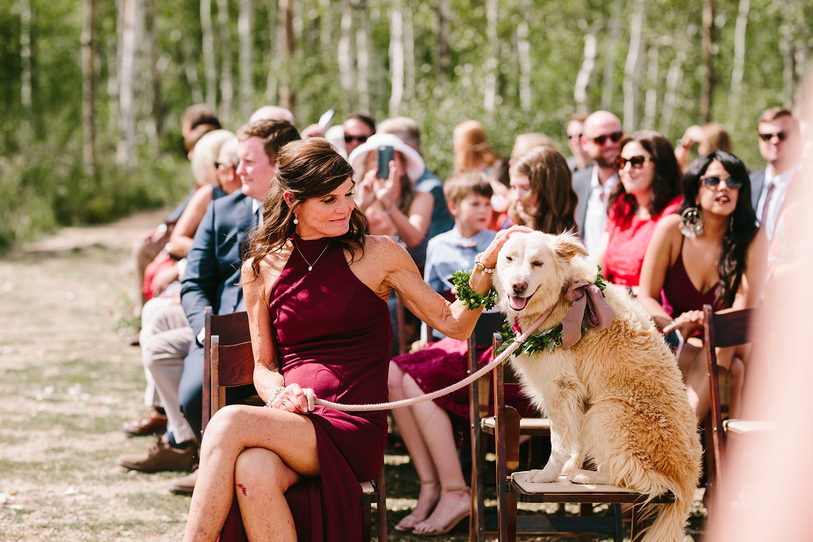 Tips for including your dog in your wedding — TENEIL HARTLEY EVENTS