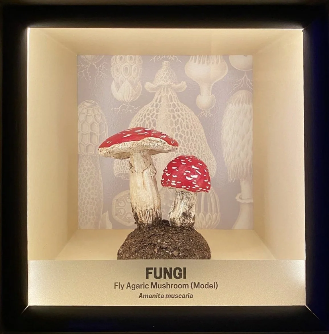 AQUA•RESIN / SETS AND PROPS