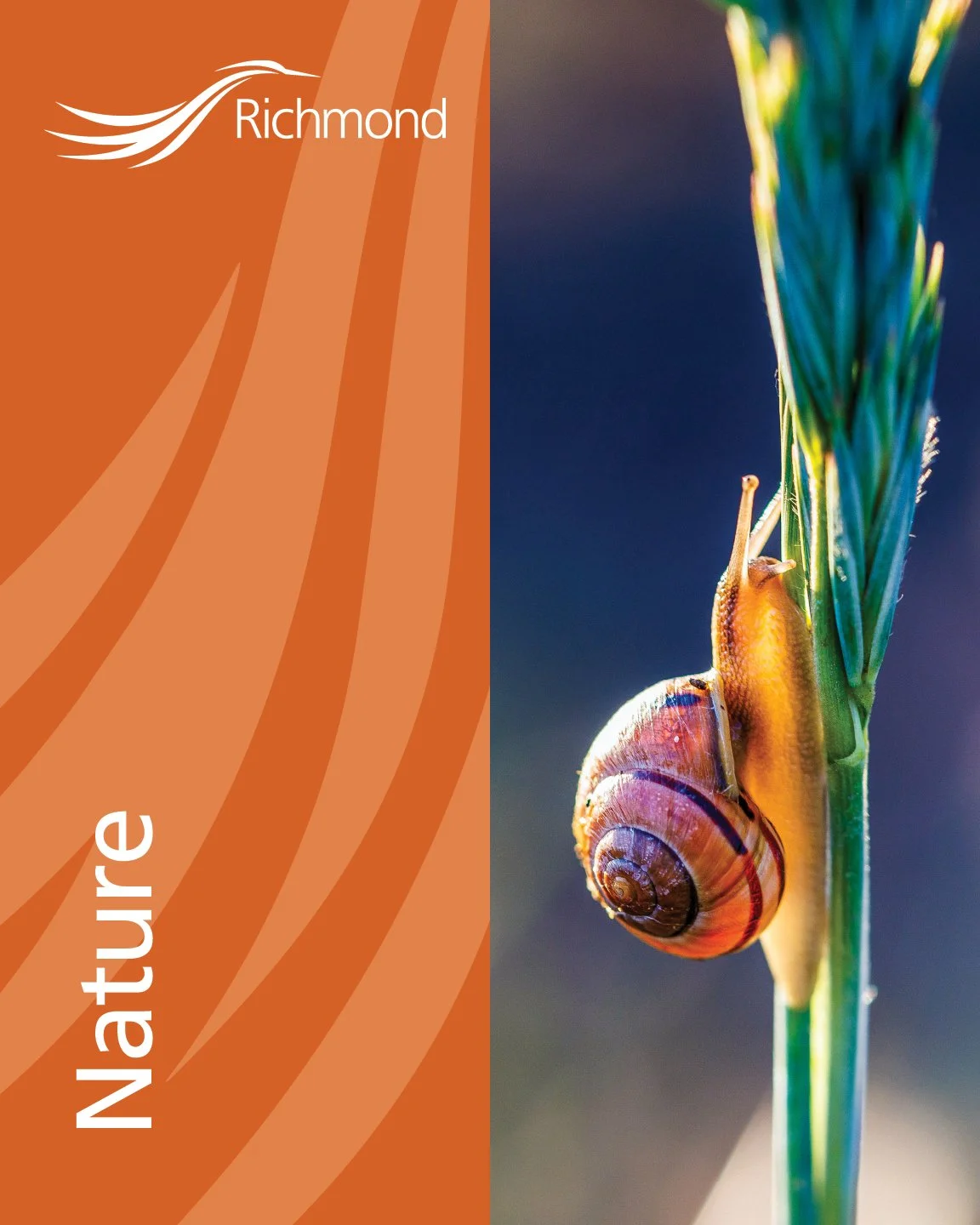 CURRENT — Richmond Street Banner Contest