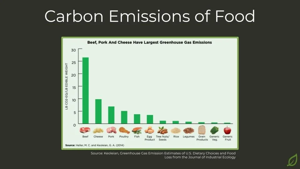 More Plants, Less Waste: How Our Diet Affects Climate Change — Boyer ...
