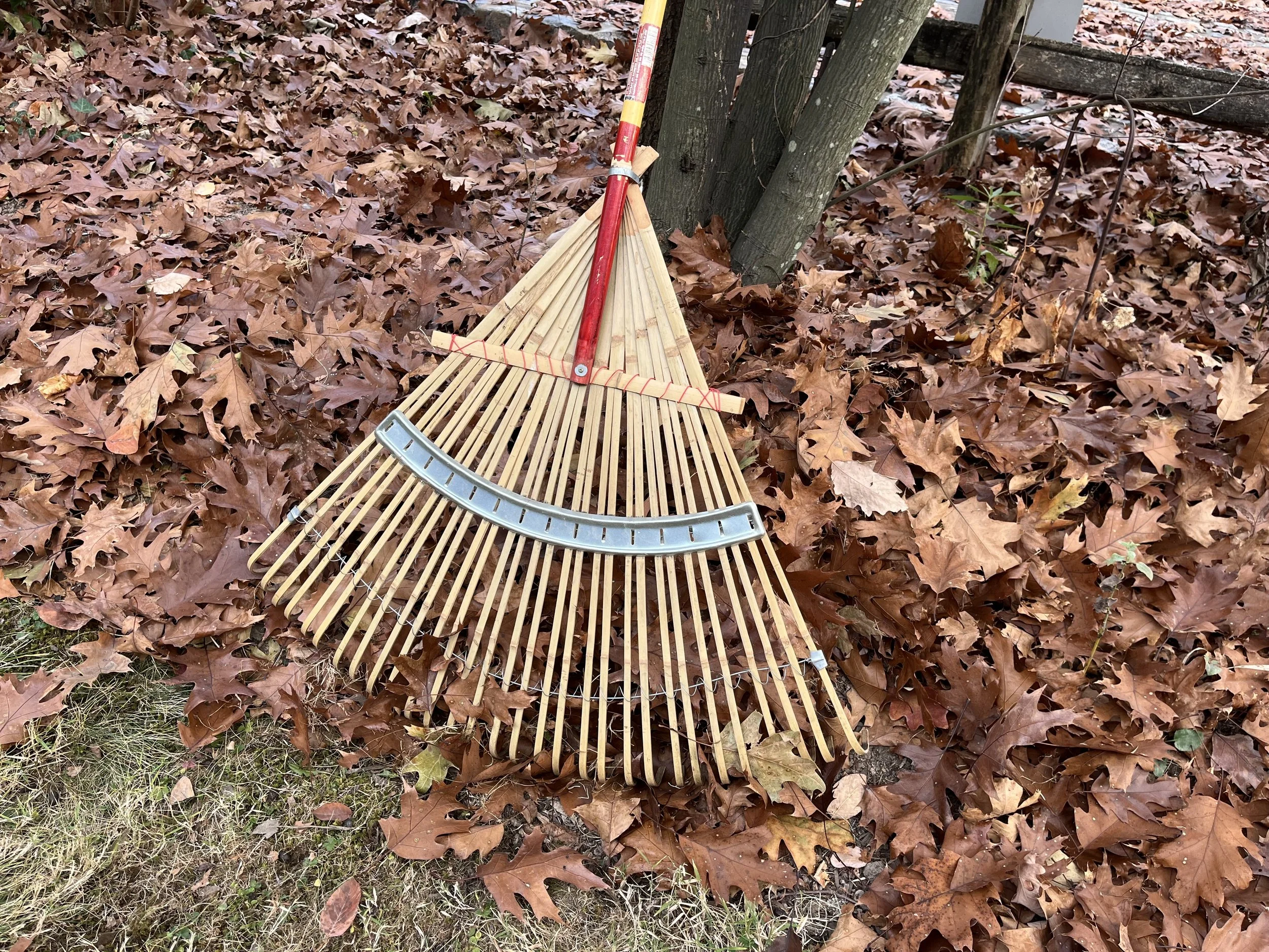 Leave the Leaves: A Teachable Moment — Boyer Sudduth