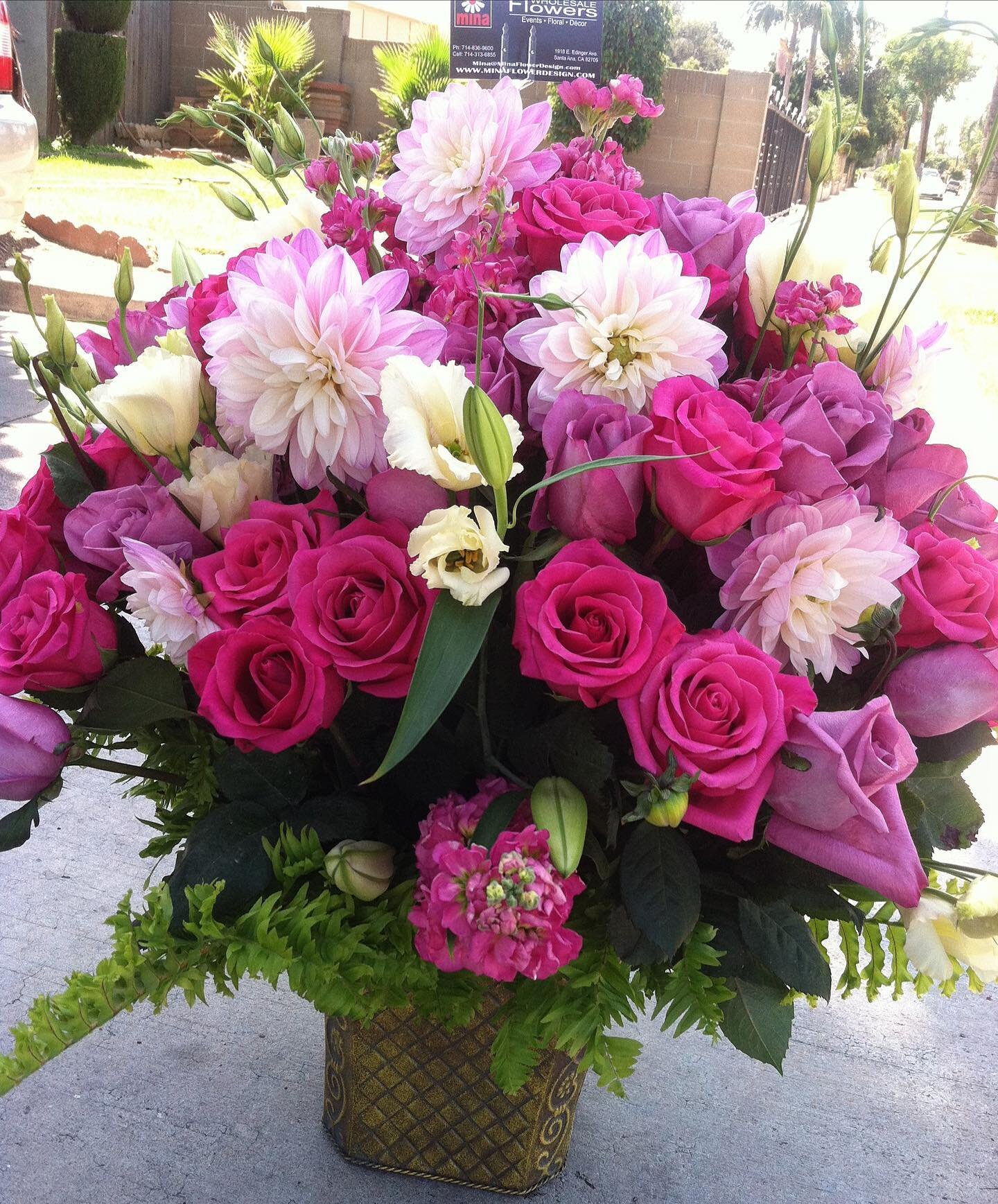 Wholesale Flowers, Floral Design, Orchids- Mina Flower Design