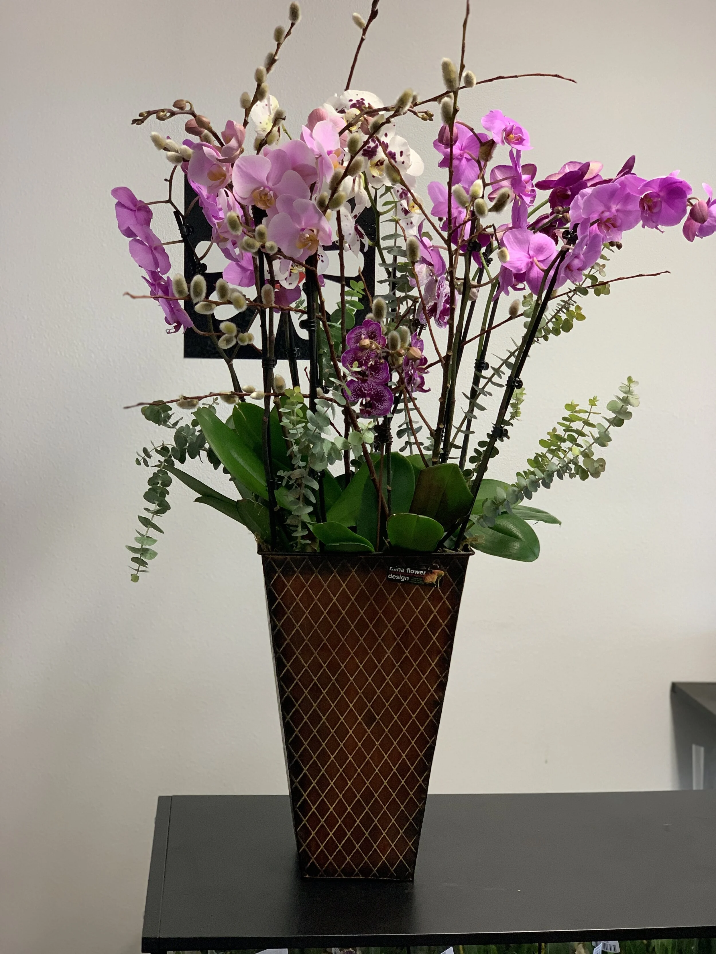 Orchids Photo Gallery — Wholesale Flowers, Floral Design, Orchids- Mina ...