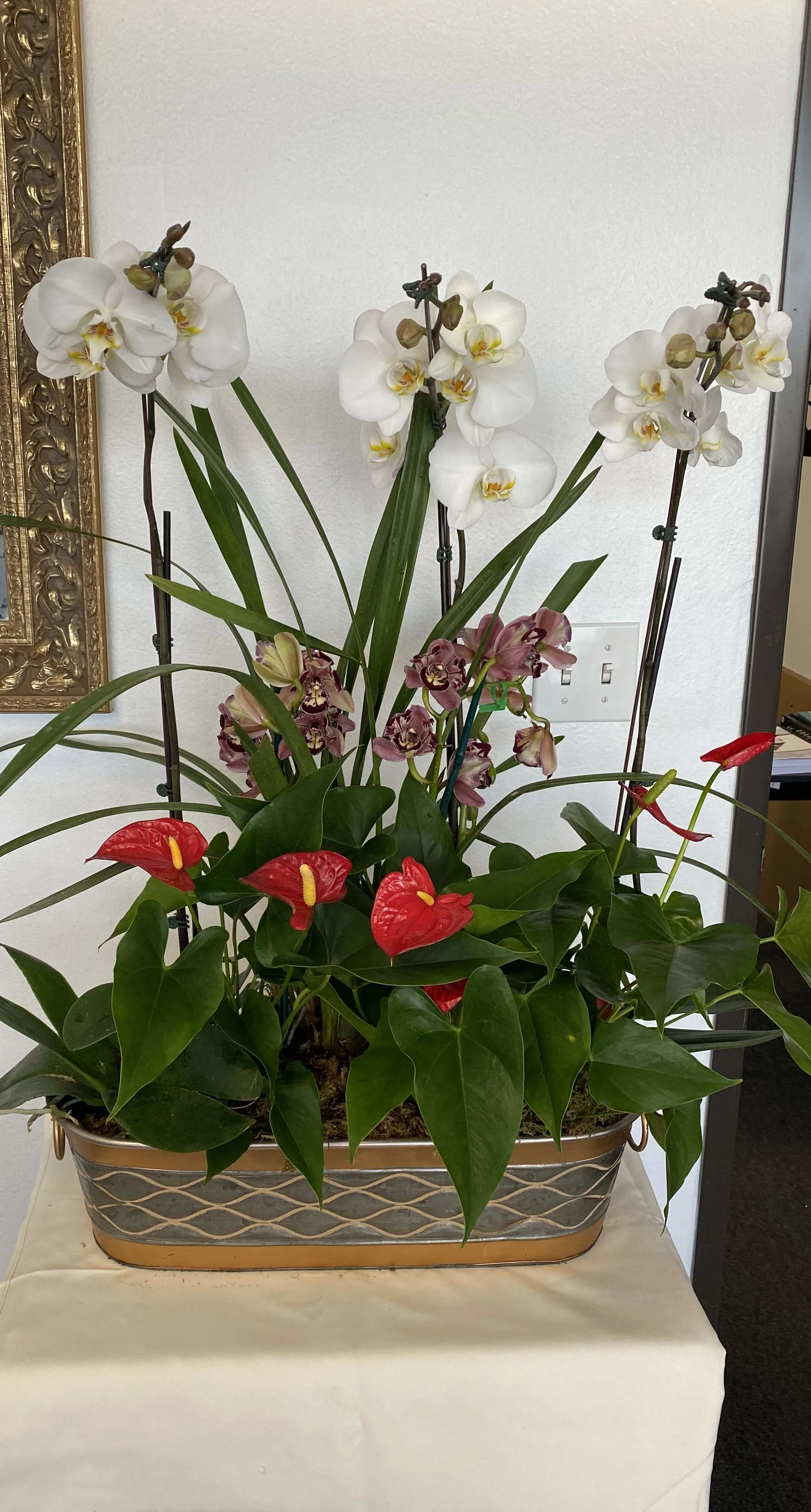 Orchids Photo Gallery — Wholesale Flowers, Floral Design, Orchids- Mina ...