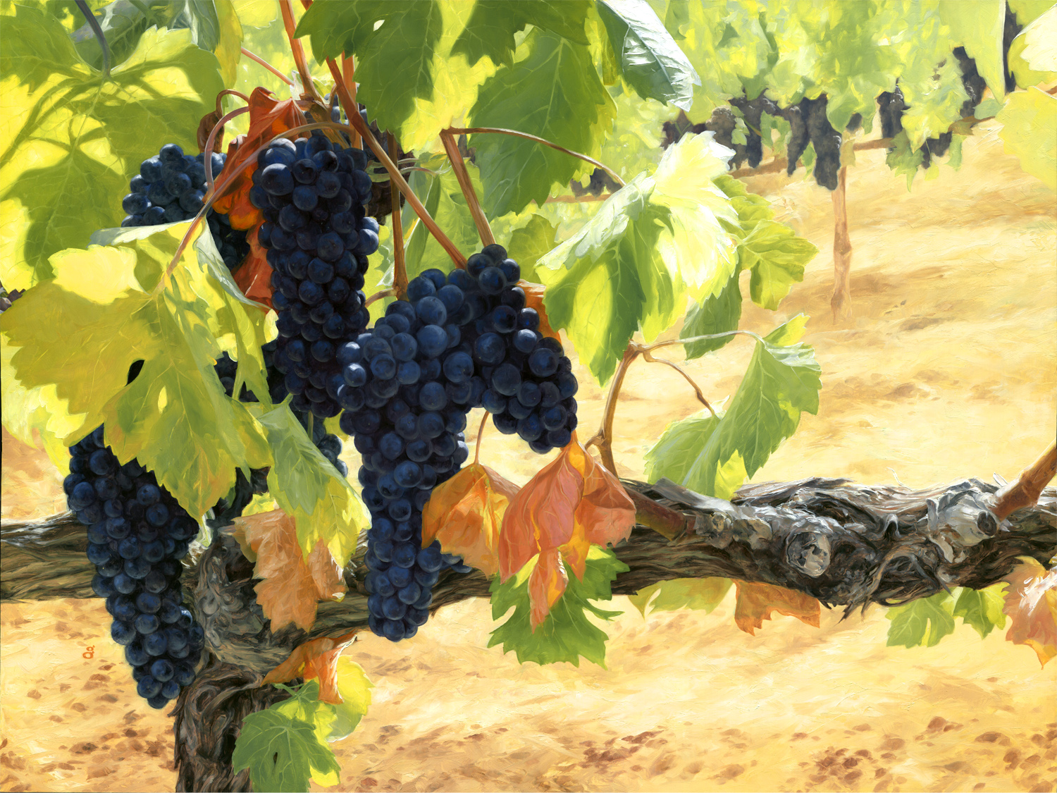 Landscape — Randy Gallegos