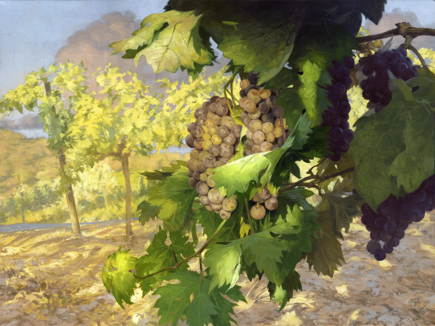 Landscape — Randy Gallegos