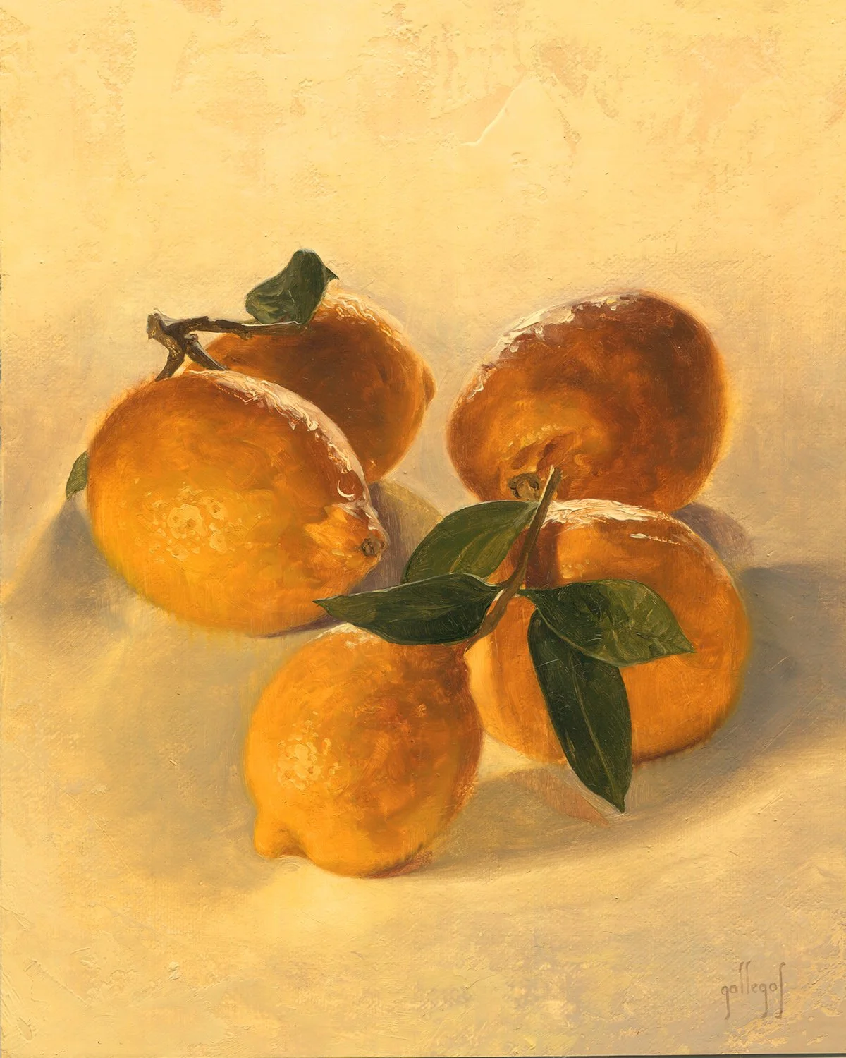 Still Life — Randy Gallegos