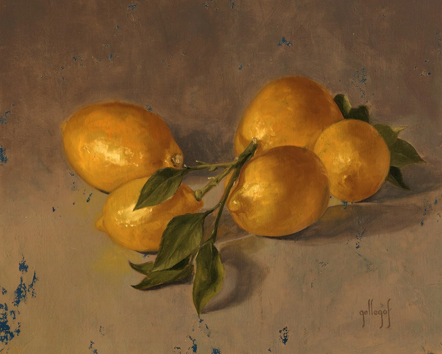 Still Life — Randy Gallegos