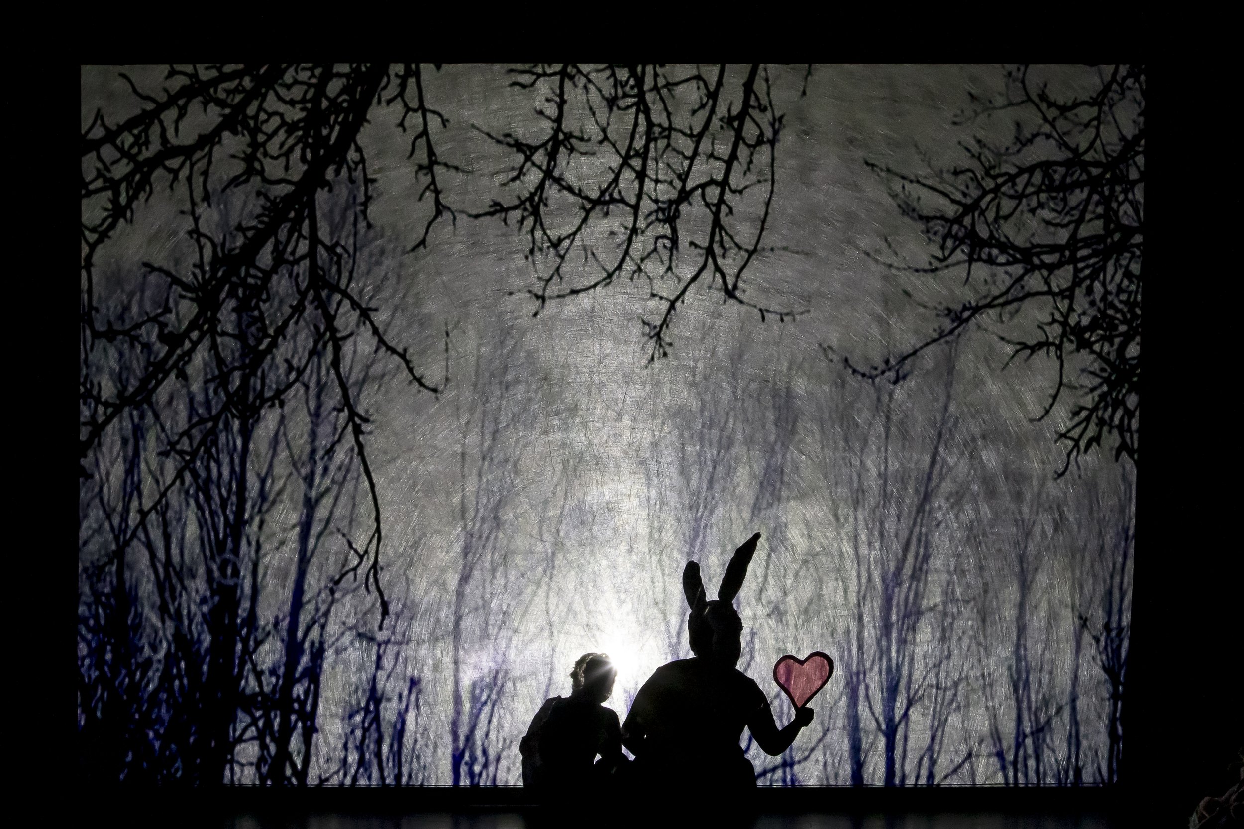 Velveteen Rabbit — Born in a Taxi