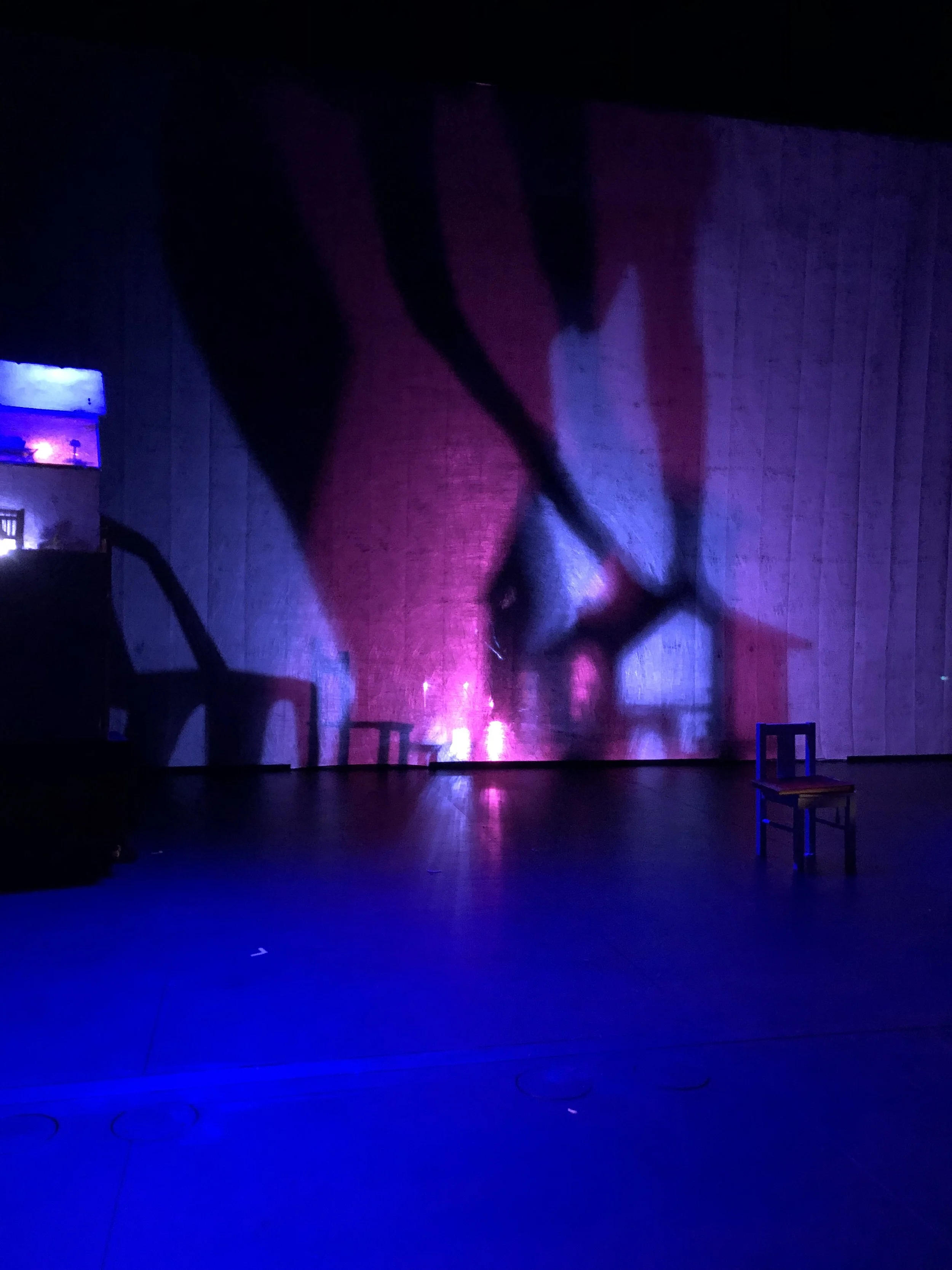 Velveteen Rabbit — Born in a Taxi