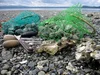 Shellfish Forage and A Feast — HUMAN NATURE HUNTING