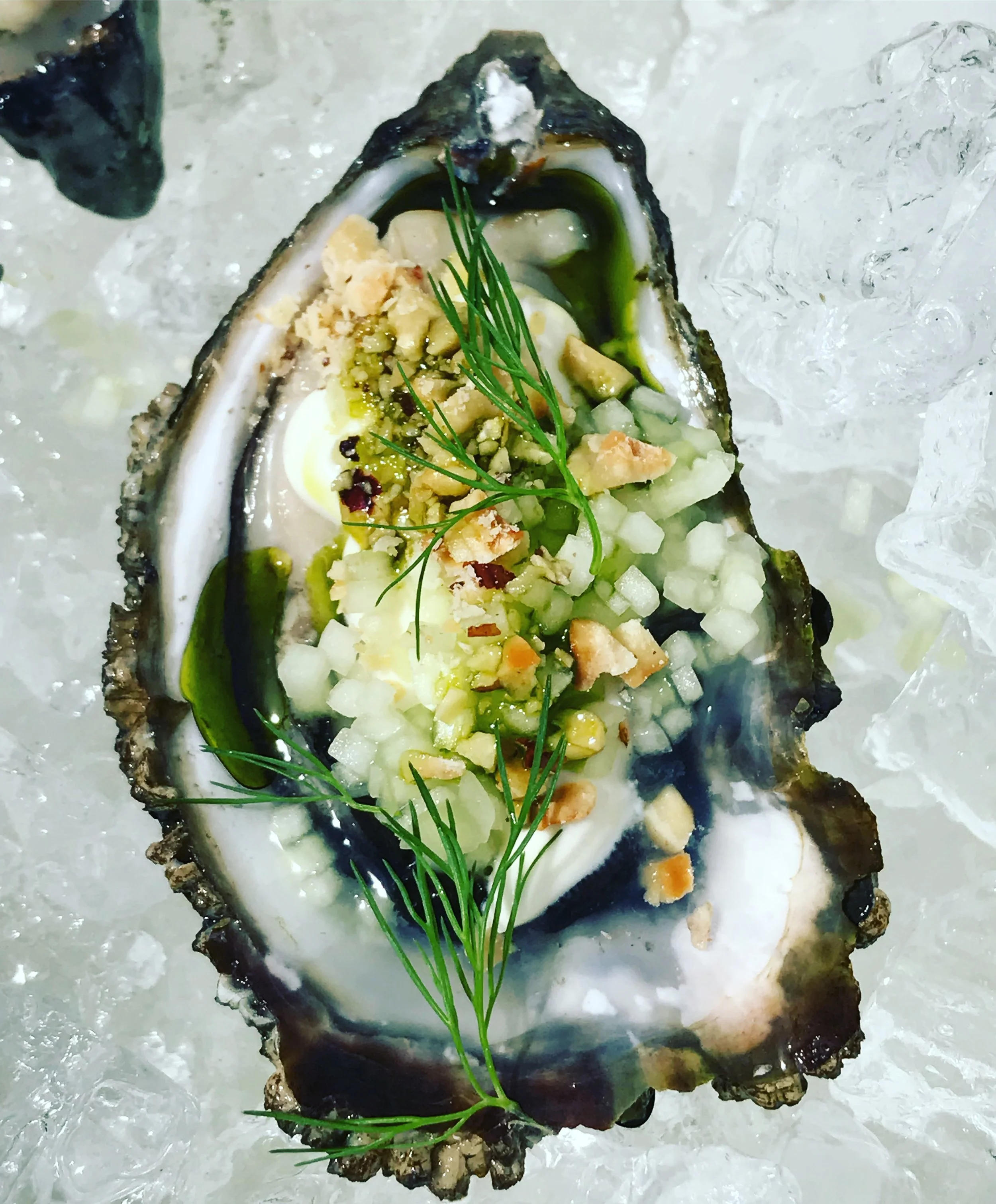 SHELLFISH Forage and A Feast — HUMAN NATURE HUNTING