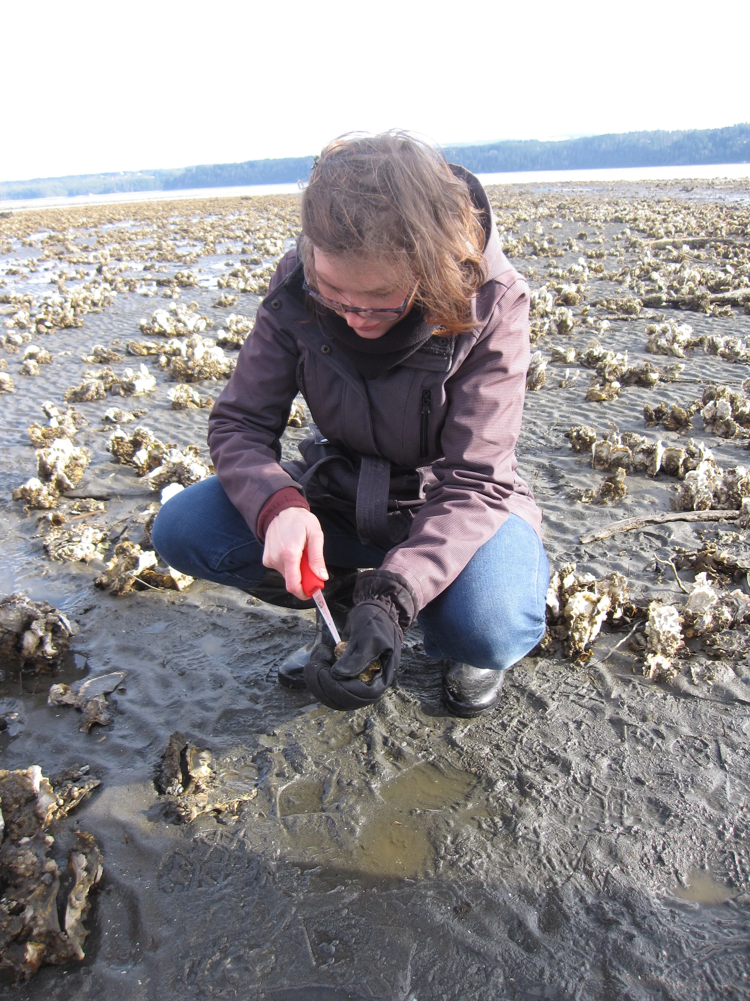 Shellfish Forage and A Feast — HUMAN NATURE HUNTING