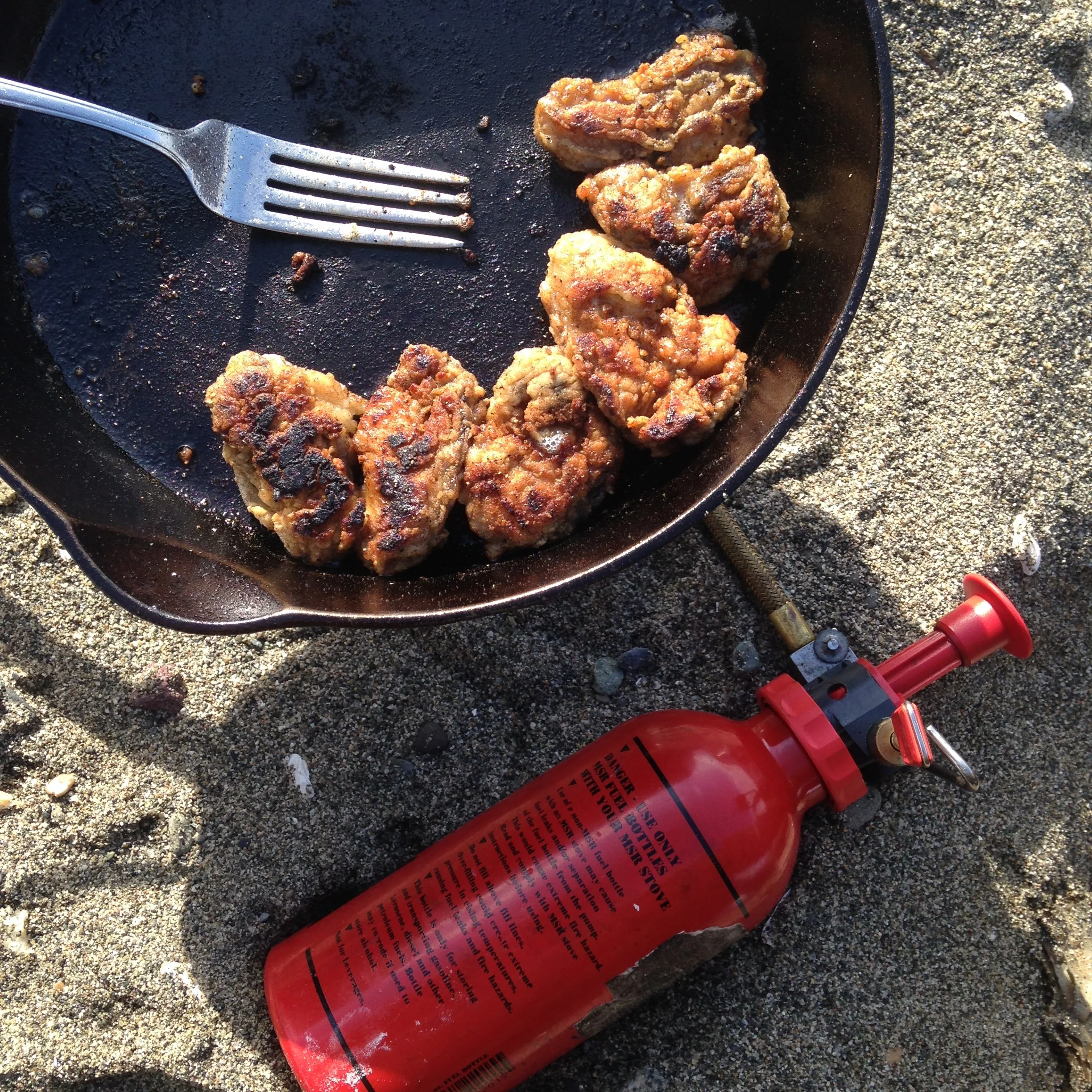 Shellfish Forage and A Feast — HUMAN NATURE HUNTING